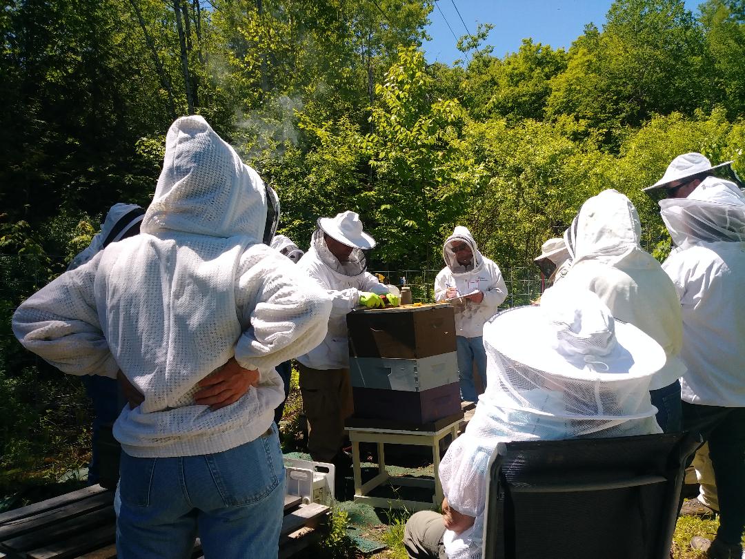 Another Great Open Hive! – Windham County Beekeepers