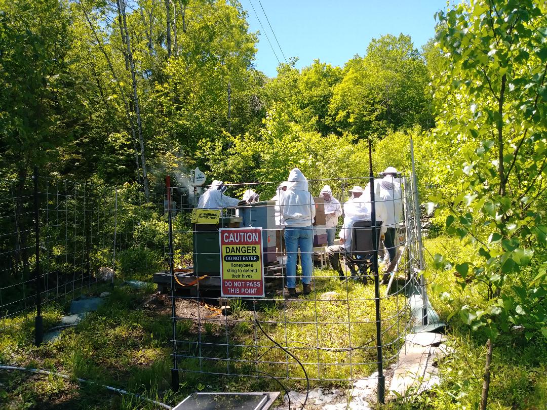 Another Great Open Hive! – Windham County Beekeepers
