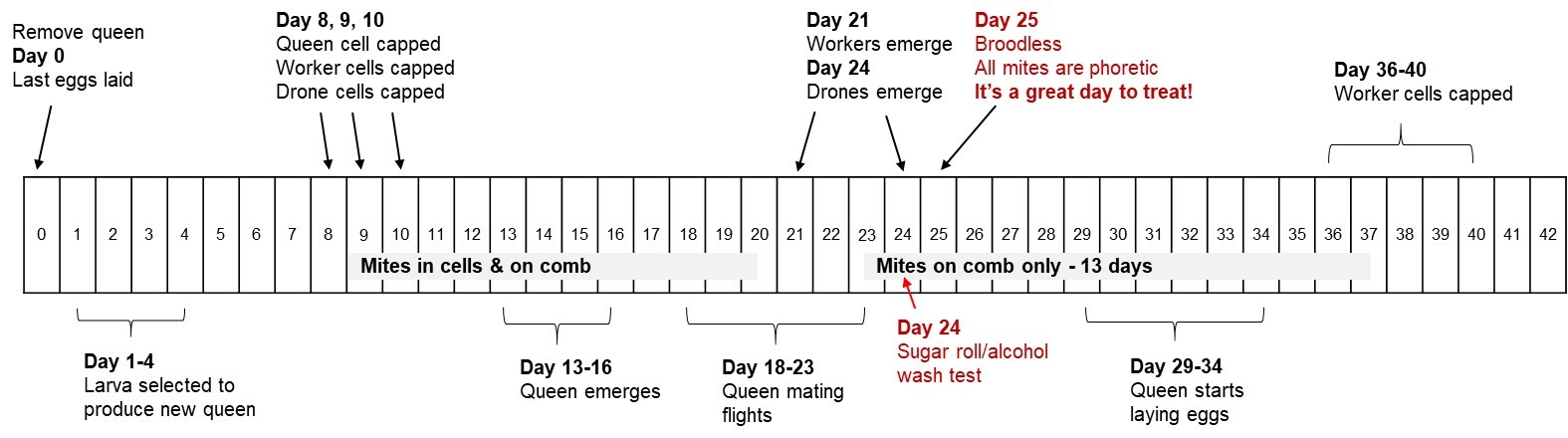 Bee-Educational Materials – Windham County Beekeepers