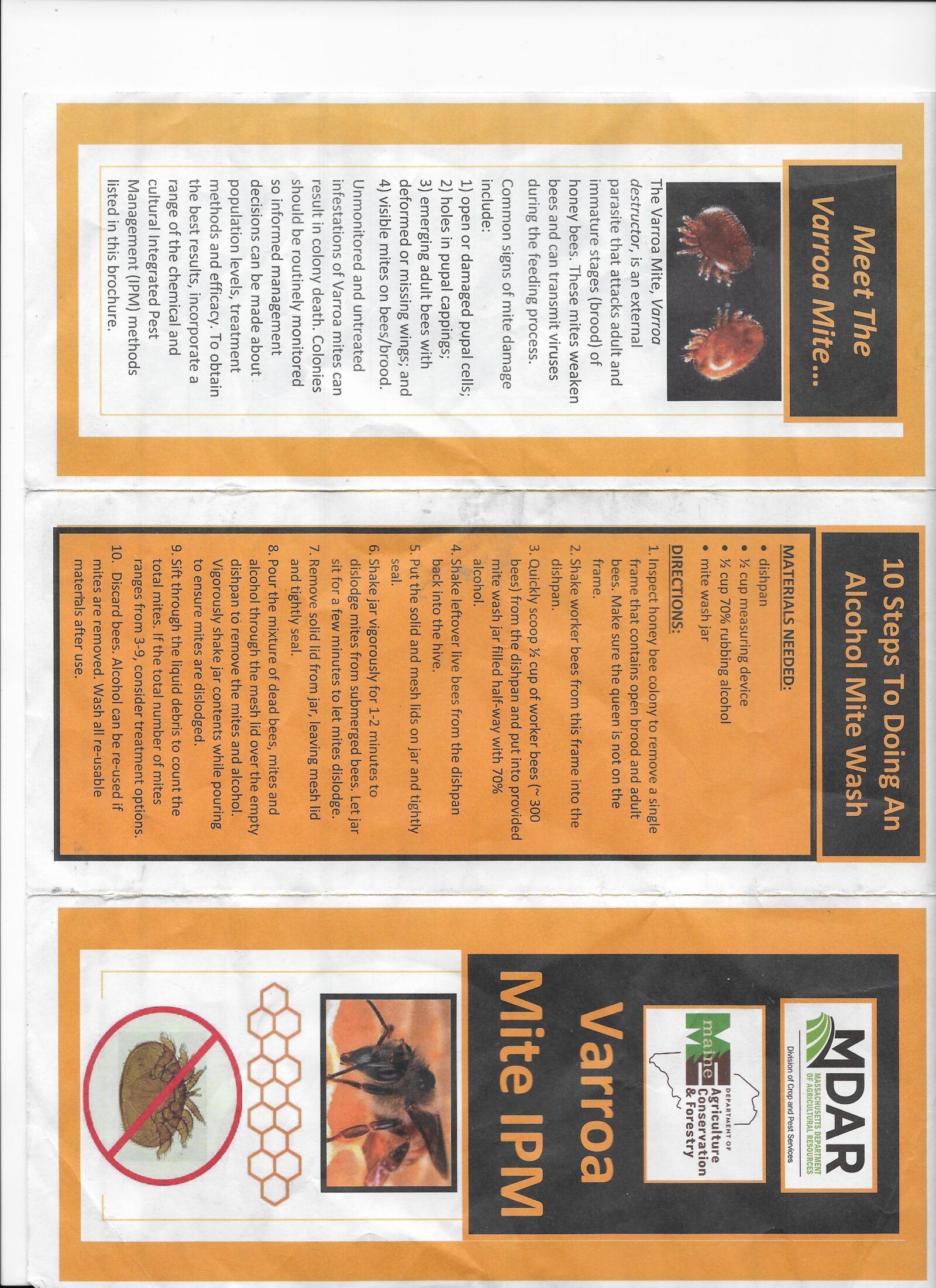 Bee-Educational Materials – Windham County Beekeepers